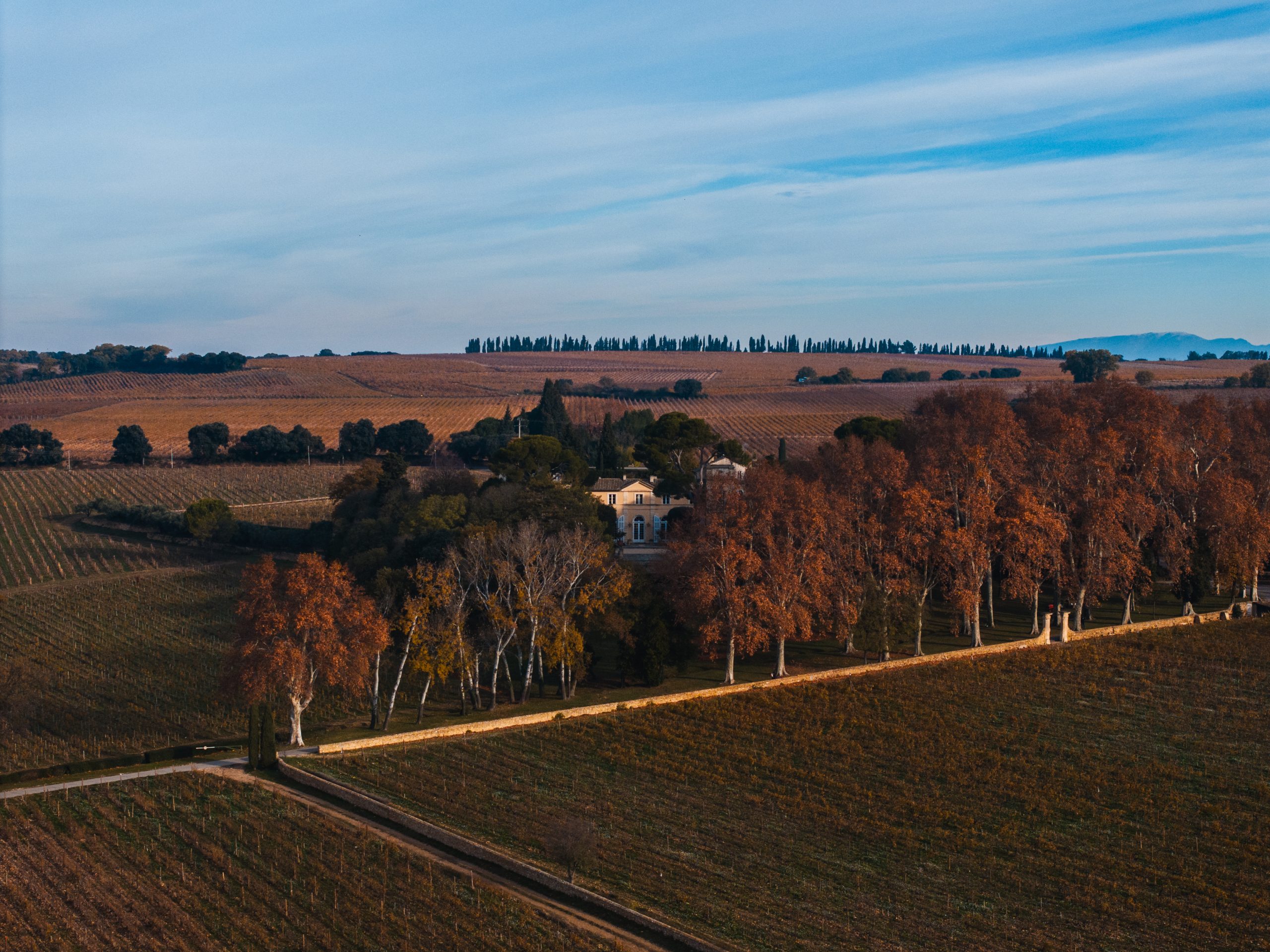 Winemaking at Château La Nerthe: A Story of Terroirs - Domaines Richard