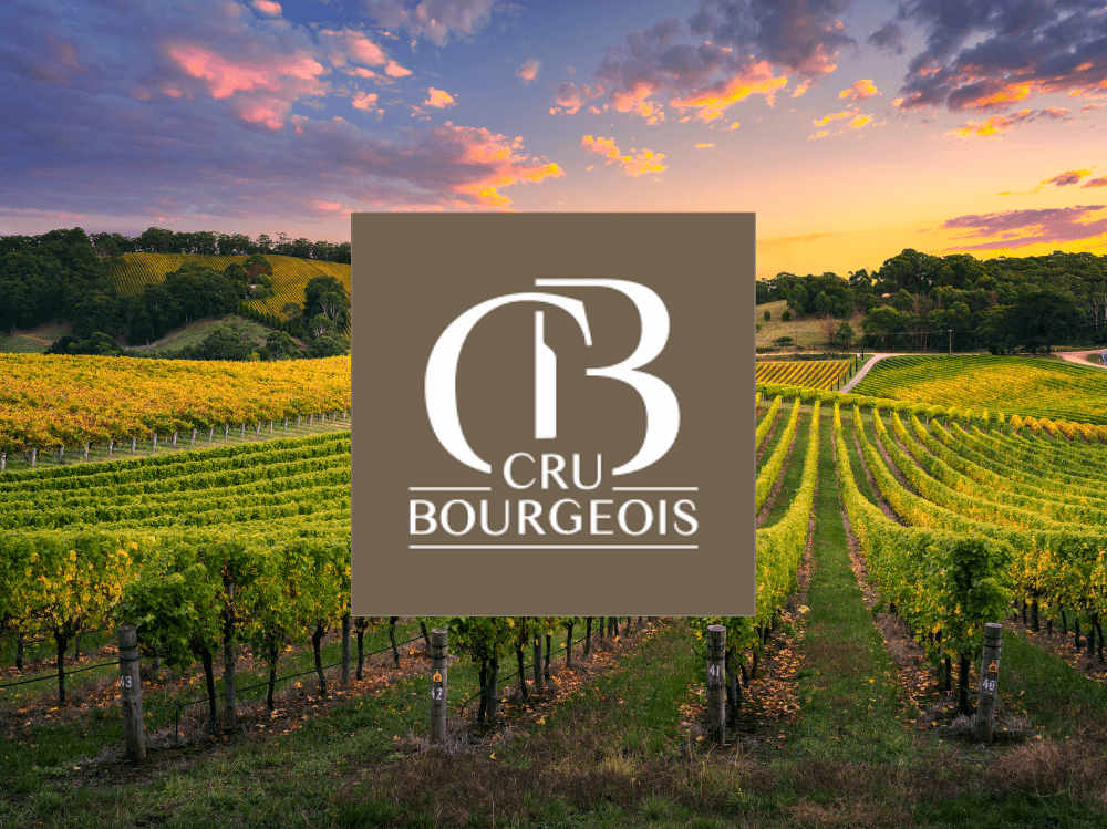 Everything You Need to Know About the Crus Bourgeois of Haut-Médoc